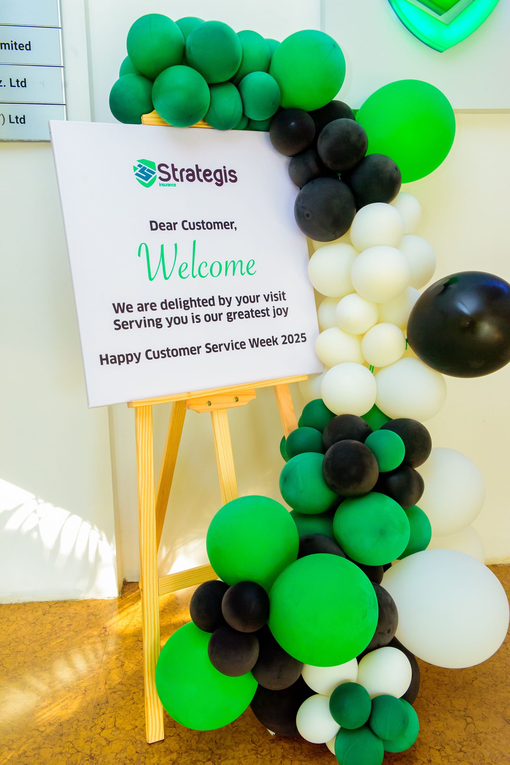 2025 – Strategis Insurance (T) Ltd